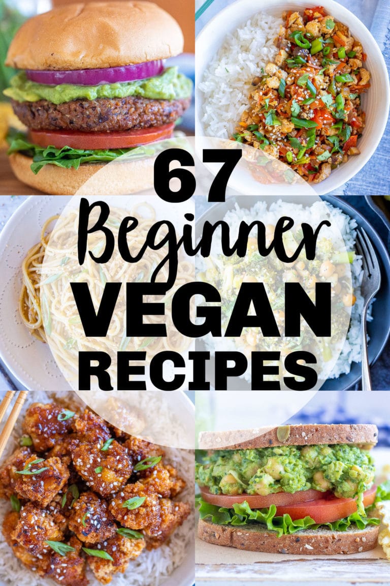 67 Vegan Recipes for Beginners - She Likes Food