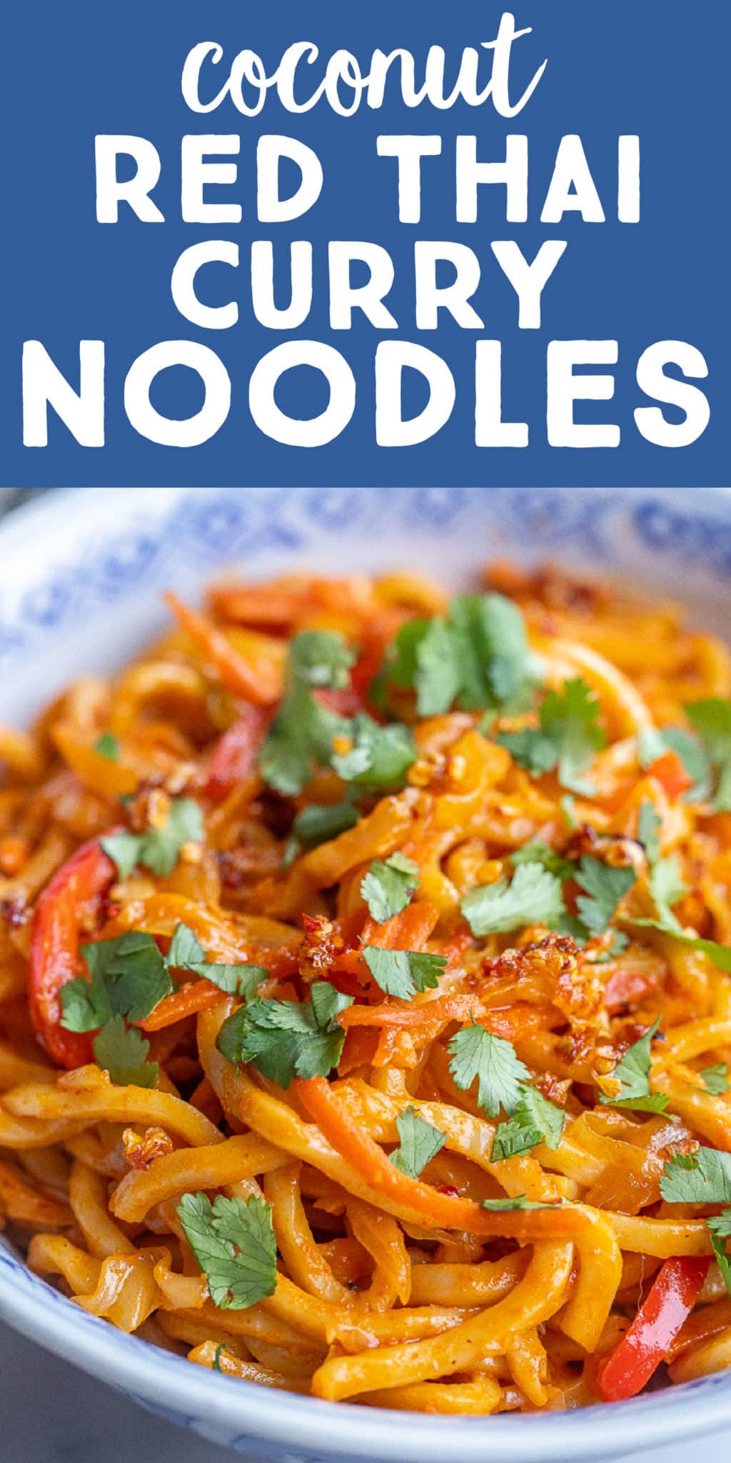 Coconut Red Thai Curry Noodles with Vegetables - She Likes Food