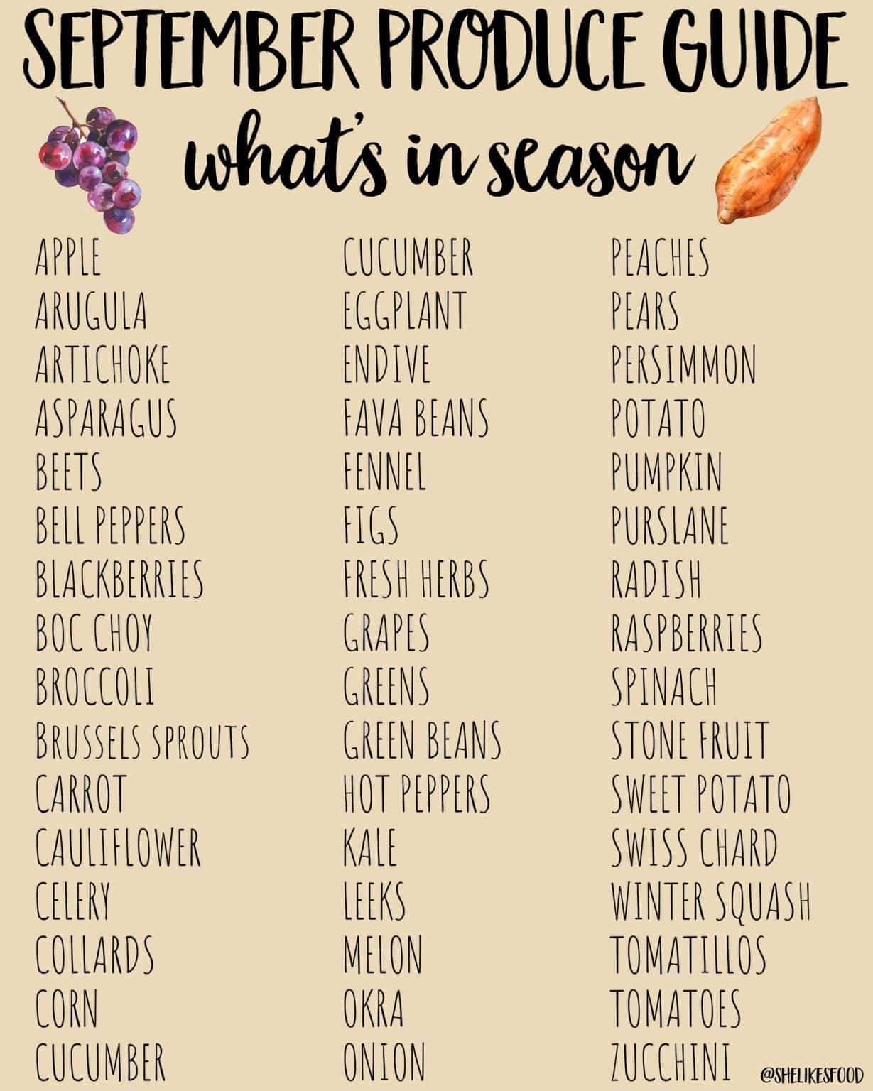 September Produce Guide + In Season Recipes - She Likes Food